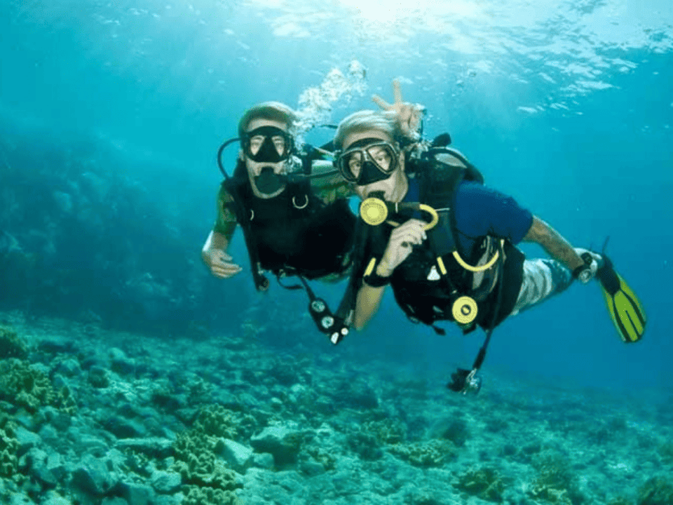 Goa Safari Adventure